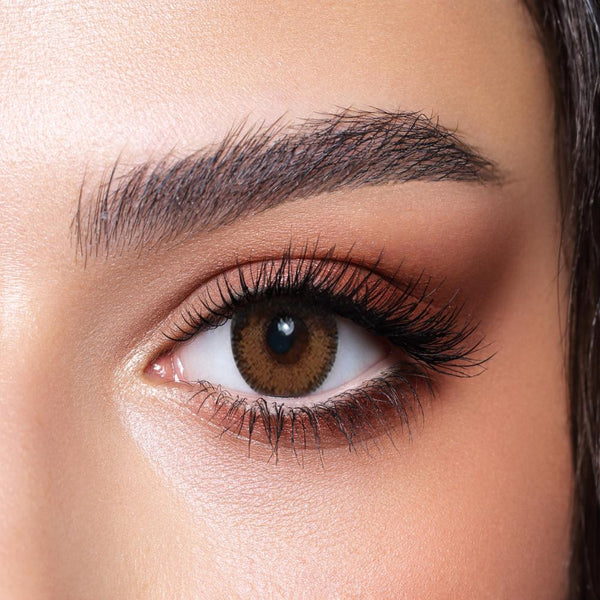 Bella Glow |Radiant Brown | Monthly Contact Lenses – 2 lens Pack – VC ...